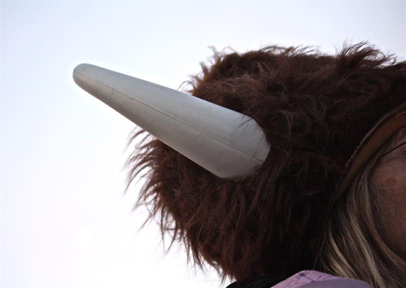 Congratulations Rockport Vikings!! | Kim Smith Films