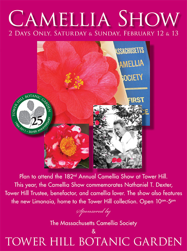 Camellia Show at Tower Hill Botanic Garden | Kim Smith Films
