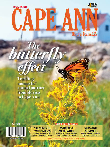 KIM SMITH COVER STORY FOR CAPE ANN MAGAZINE JUST RELEASED TODAY! | Kim ...