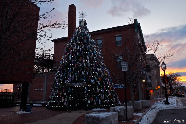 Gloucesterma Lobster Trap Tree At Twilight Kim Smith Films