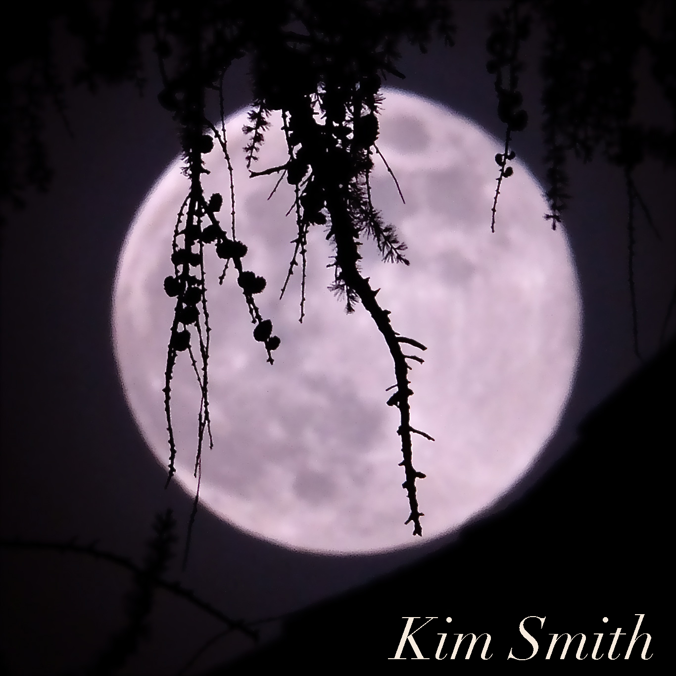 Full Flower Moon May Gloucester Massachusetts -22 copyright Kim Smith ...