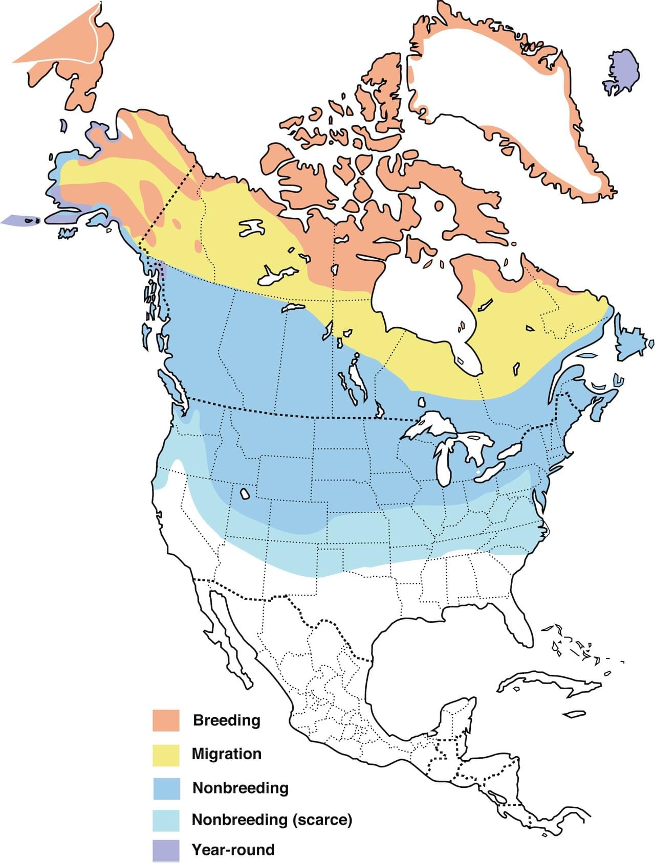 Snw Bunting range map | Kim Smith Films