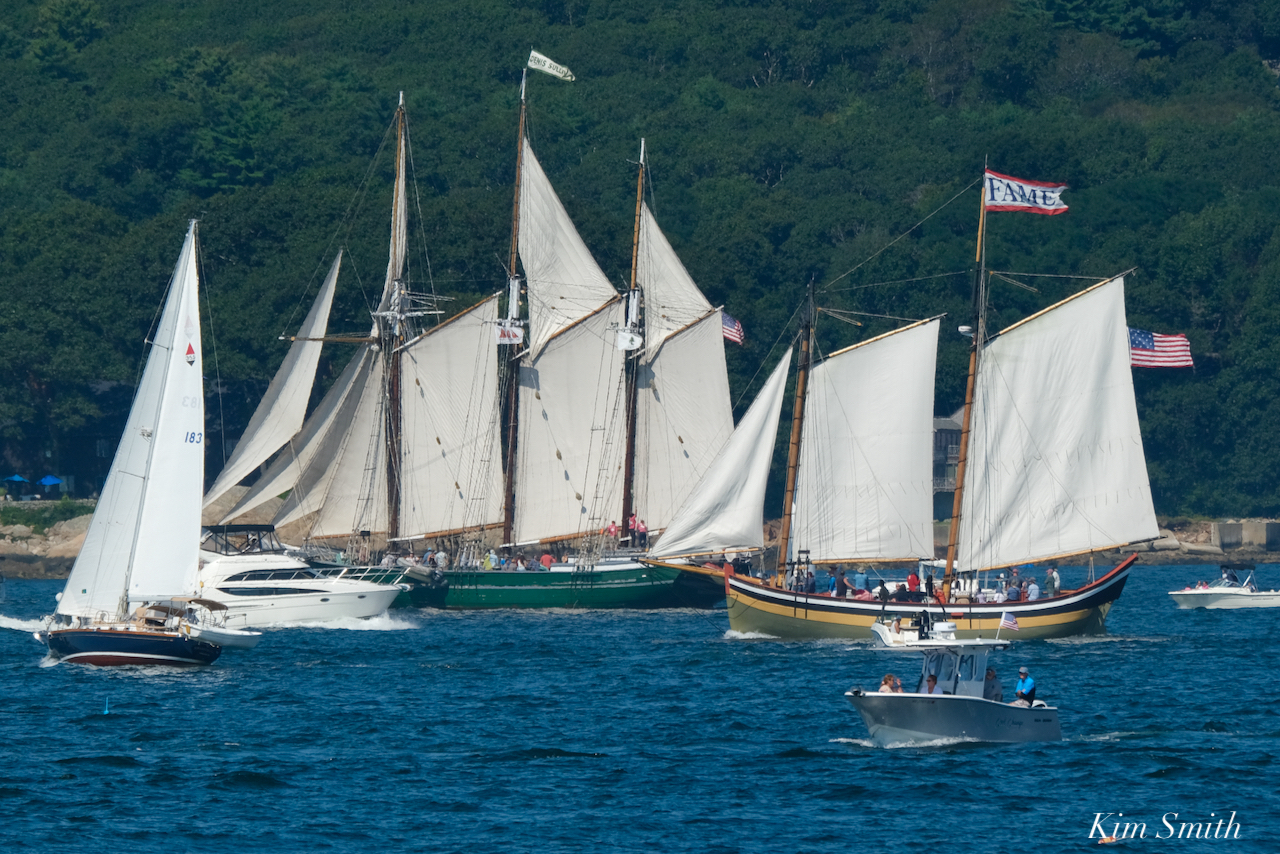 Schooner Festival Parade of Sail copyright Kim Smith – 46 of 49 | Kim ...
