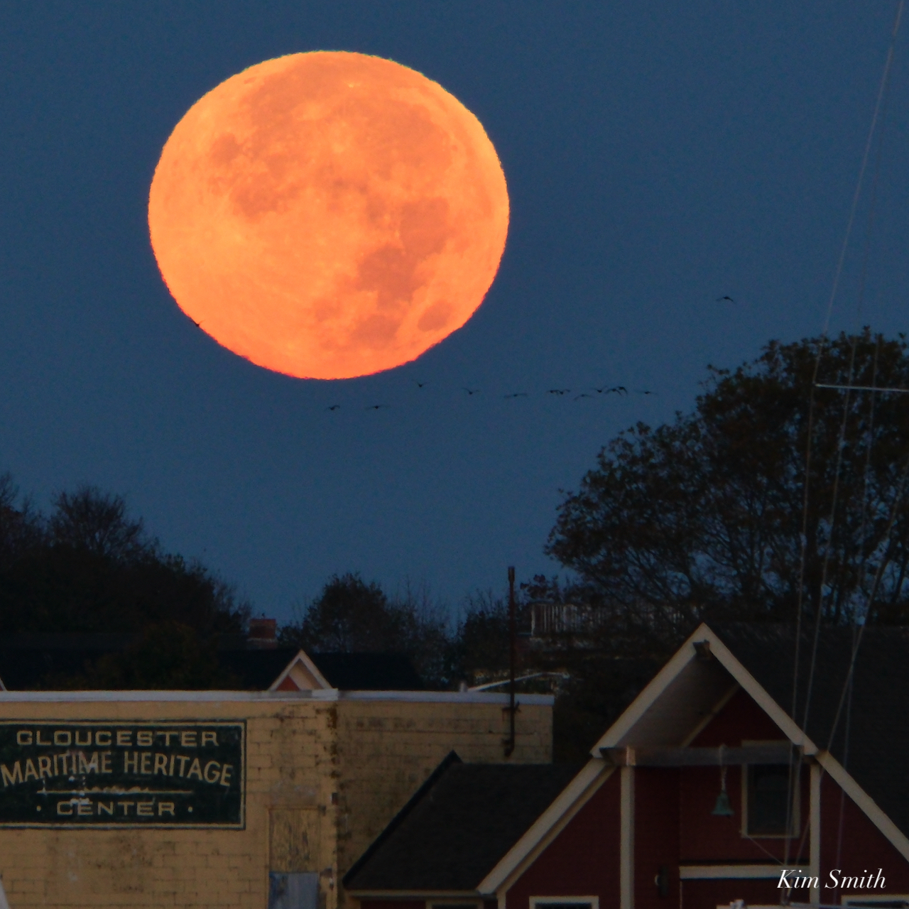 Supermoon Hunter’s Moon October 17, 2024 copyright Kim Smith – 8 of 12 ...