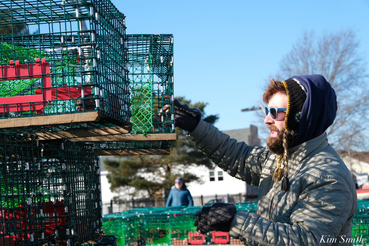 Lobster Trap Christmas Tree Build 2024 copyright Kim Smith – 18 of 43 ...