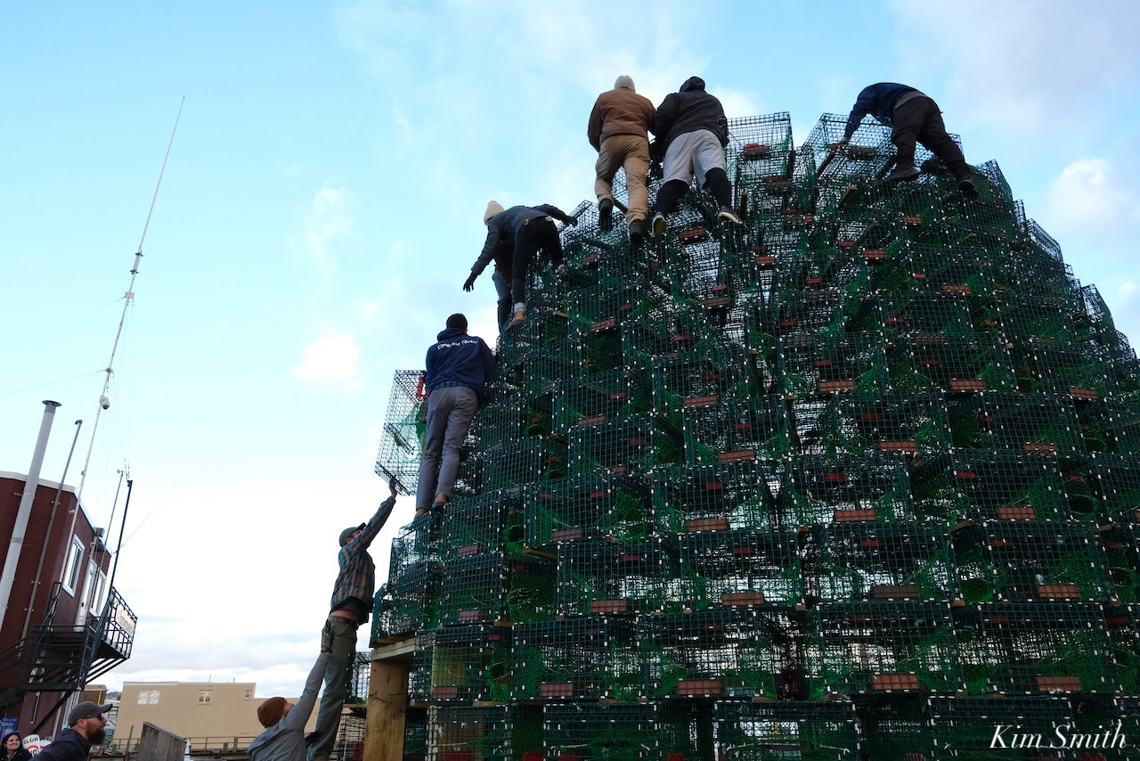 Lobster Trap Christmas Tree Build 2024 Copyright Kim Smith 28 Of 43